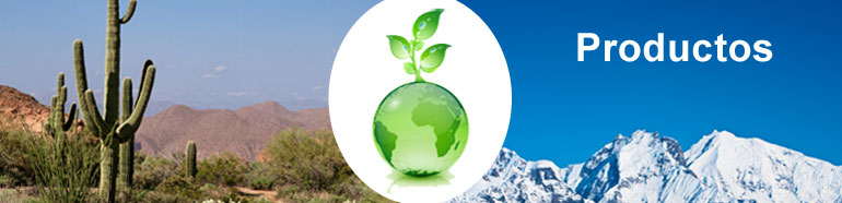 Productos y Alianzas